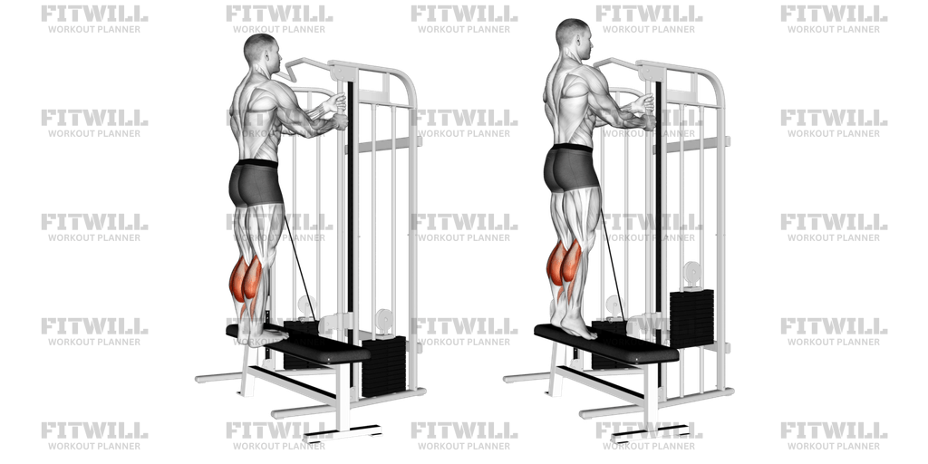 Cable Standing Calf Raise: Exercise Guide, Techniques, Benefits, How to ...