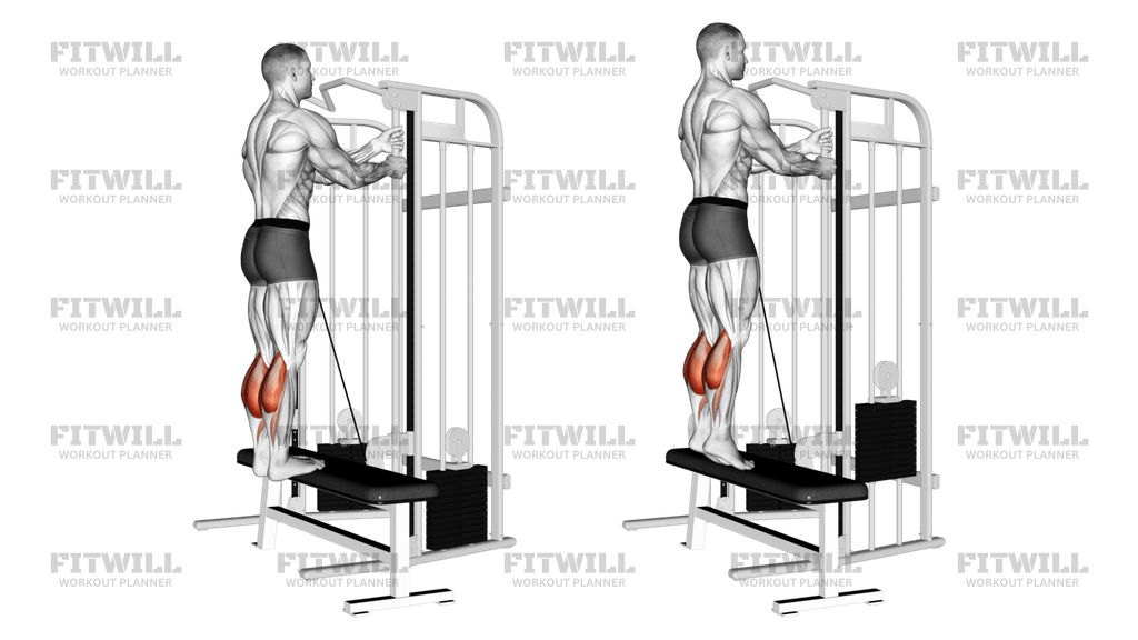 Cable Standing Calf Raise: Exercise Guide, Techniques, Benefits, How to ...