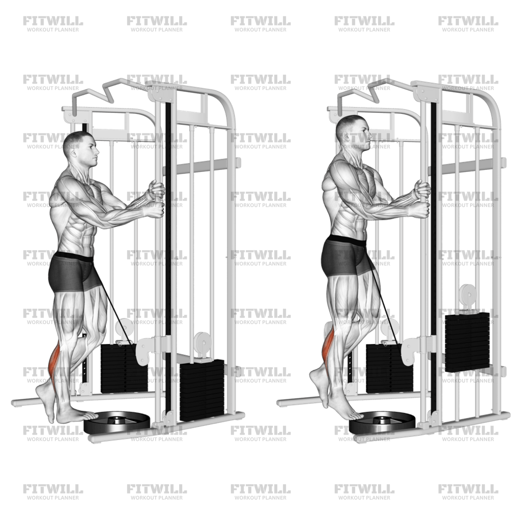 Cable Standing One Leg Calf Raise: Exercise Guide, Video, Techniques ...