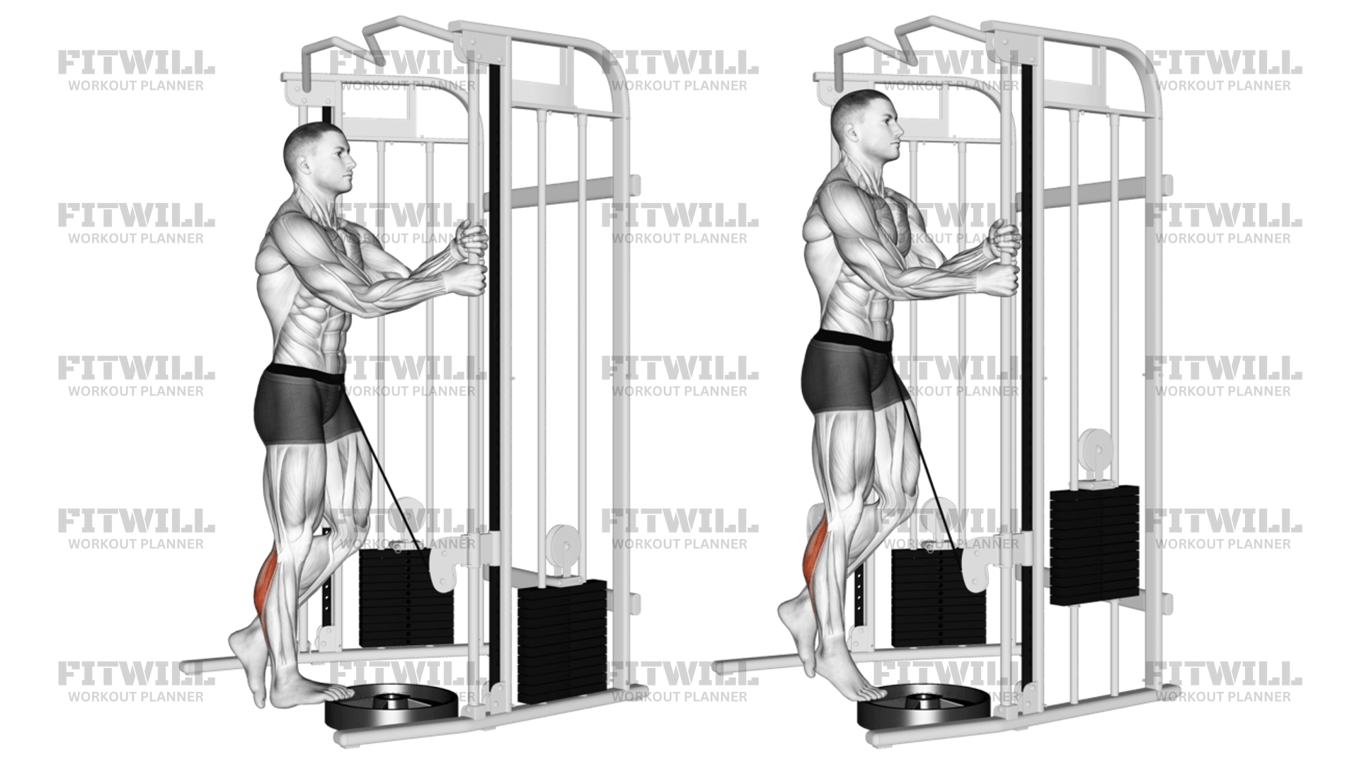 Cable Standing One Leg Calf Raise: Exercise Guide, Video, Techniques ...