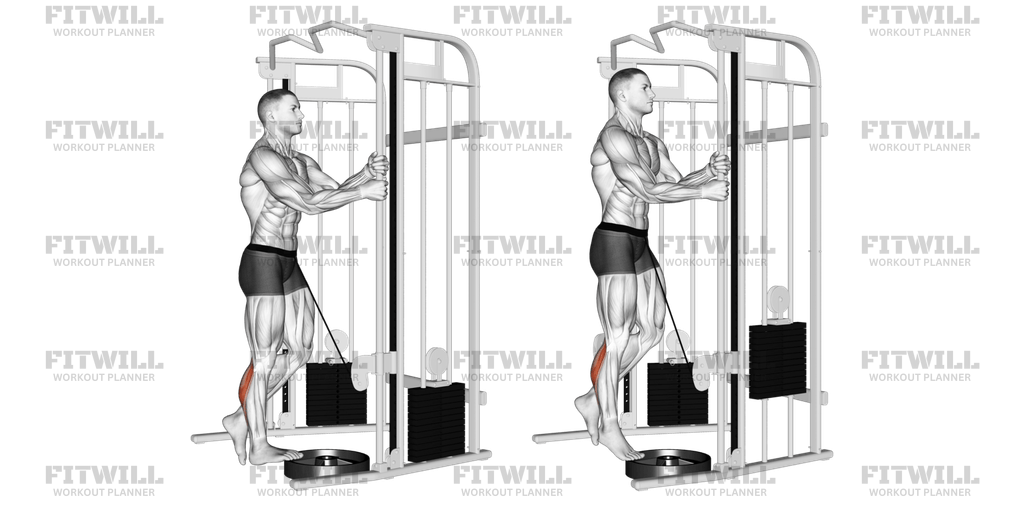 Cable Standing One Leg Calf Raise: Exercise Guide, Video, Techniques ...