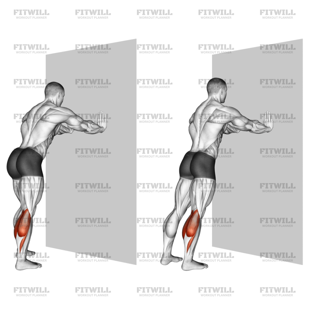 Calf Stretch With Hands Against Wall: Exercise Guide, Video, Techniques ...