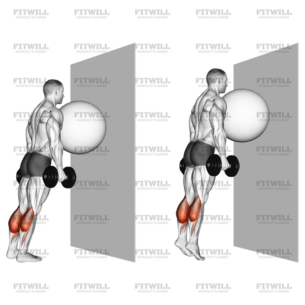 Élévation De Mollets Avec Ballon D'exercice Contre Le Mur: Guide d ...