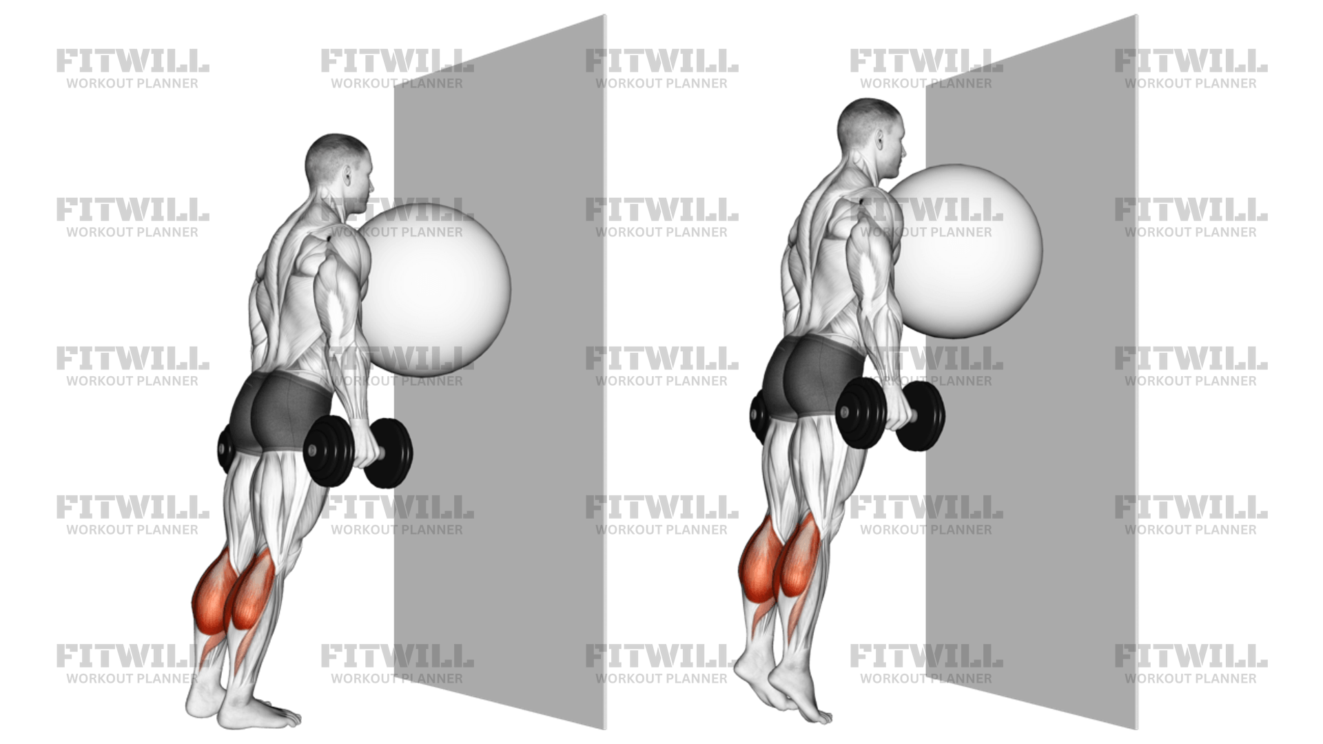 Exercise Ball On The Wall Calf Raise: Exercise Guide, Techniques ...