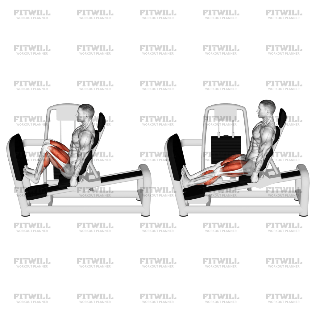 Lever Seated Squat Calf Raise On Leg Press Machine: Exercise Guide ...