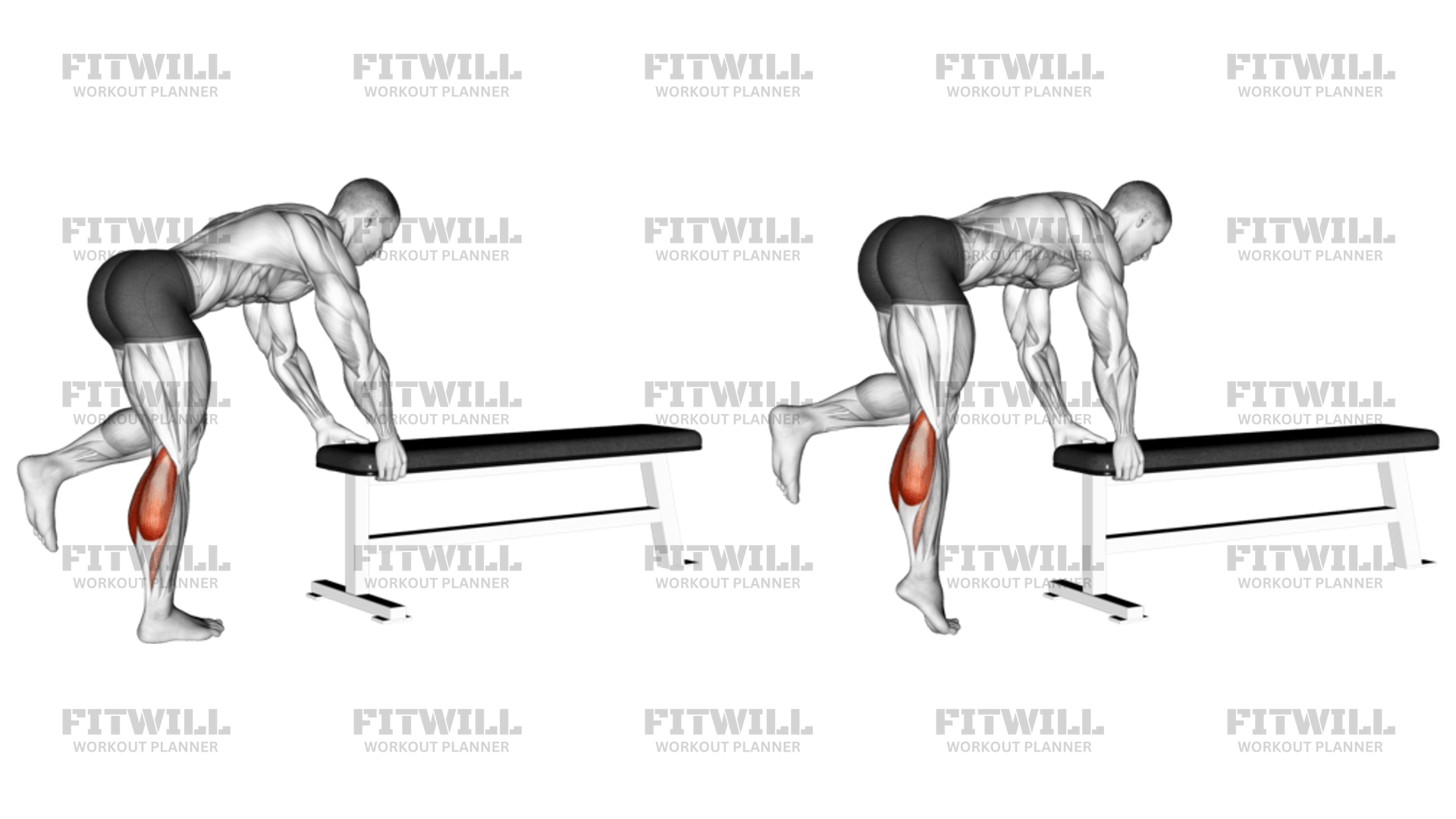 One Leg Donkey Calf Raise: Exercise Guide, Video, Techniques, Benefits ...