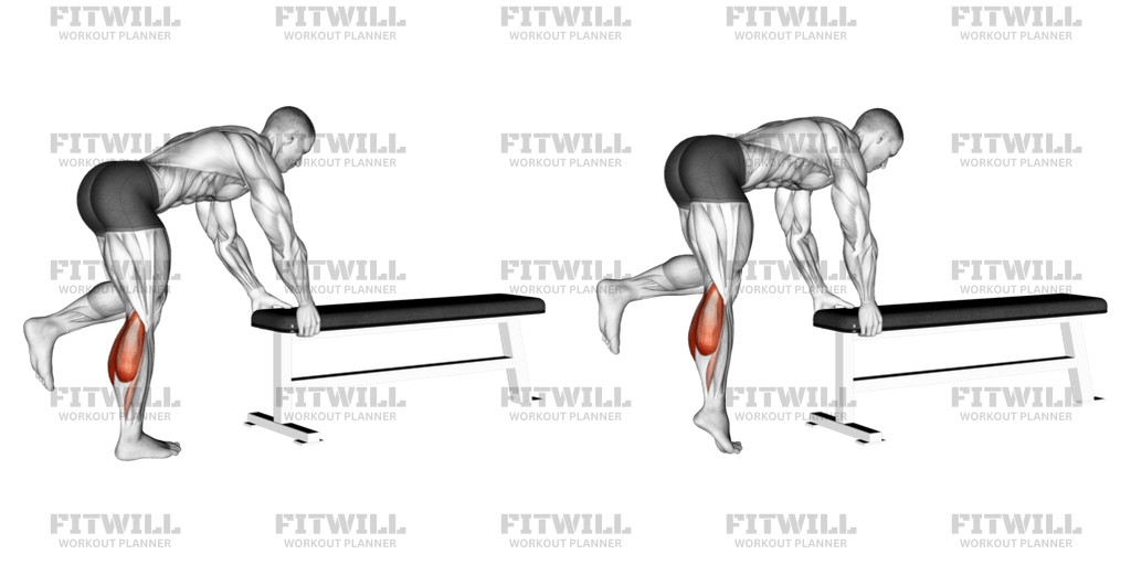 One Leg Donkey Calf Raise: Exercise Guide, Video, Techniques, Benefits ...