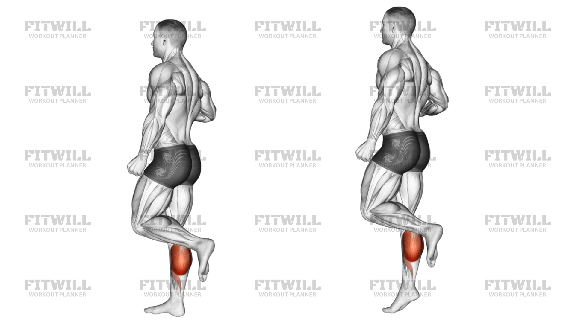 One Leg Floor Calf Raise: Exercise Guide, Video, Techniques, Benefits ...