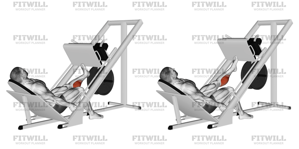 Sled One Leg Calf Press On Leg Press: Exercise Guide, Techniques ...
