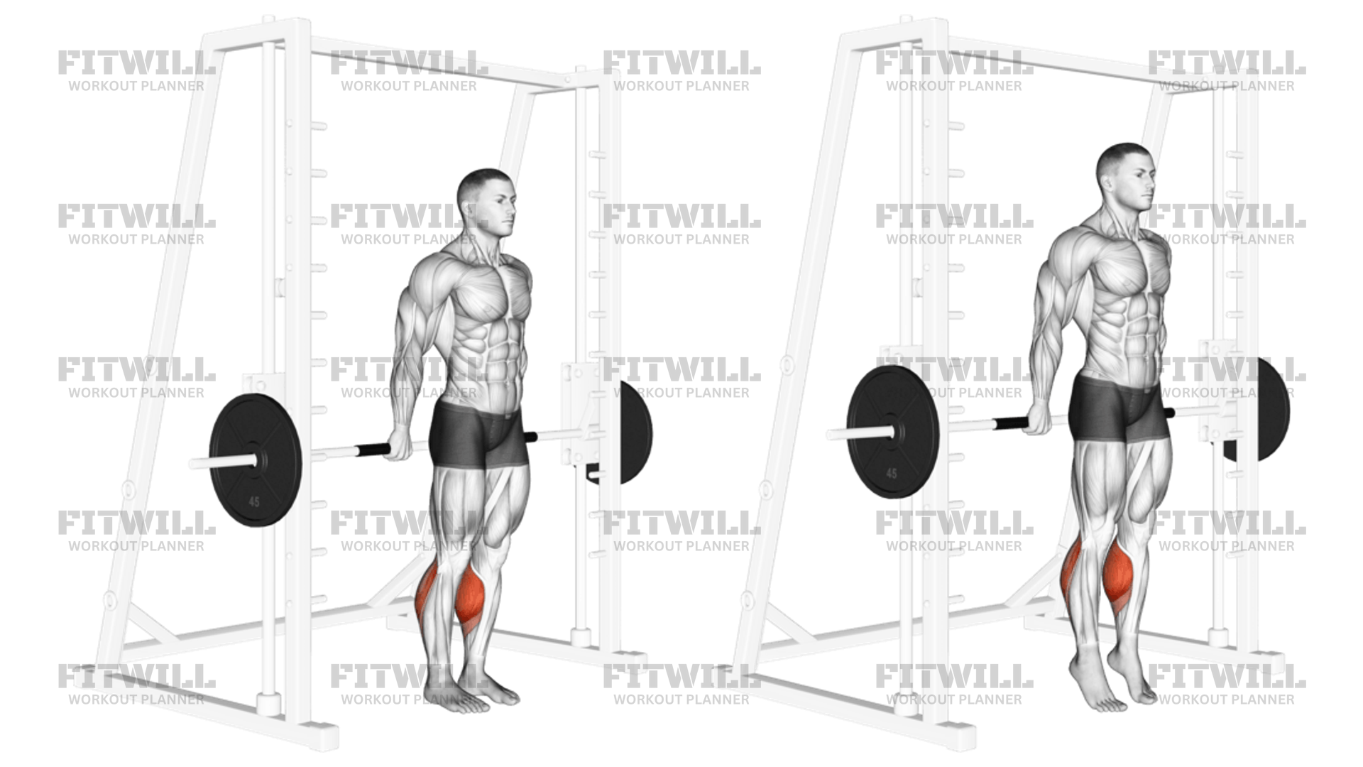 Smith Reverse Calf Raises: Exercise Guide, Video, Techniques, Benefits ...
