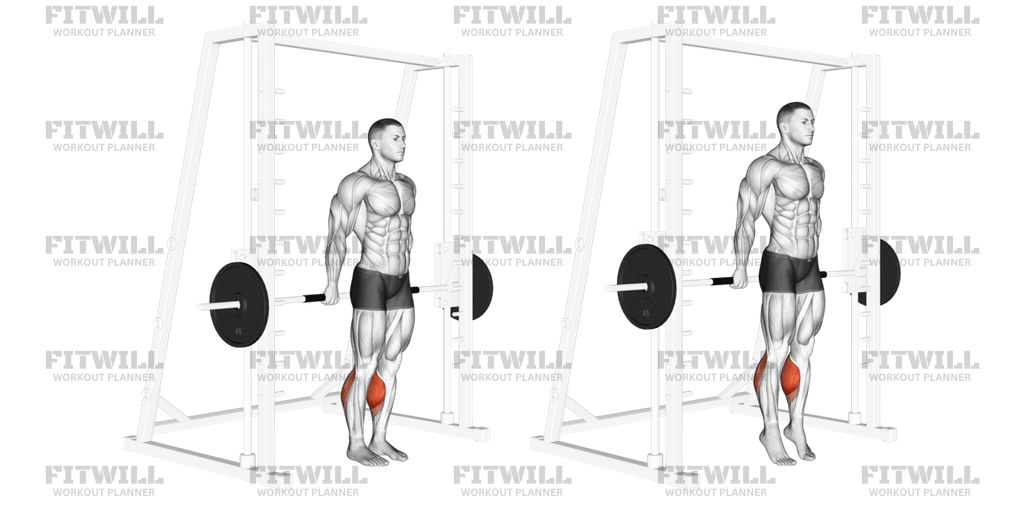 Smith Reverse Calf Raises: Exercise Guide, Video, Techniques, Benefits ...