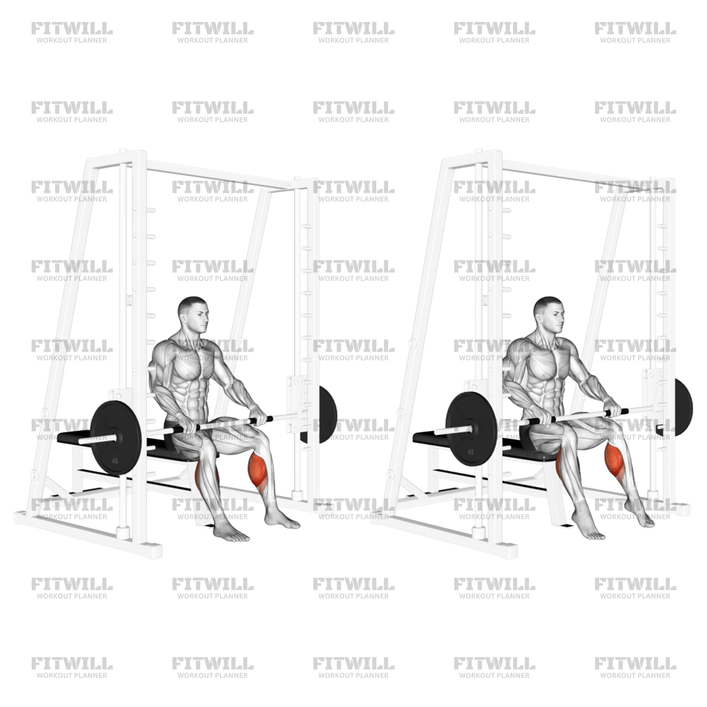 Smith Toe Raise: Exercise Guide, Techniques, Benefits, How to, Muscles ...