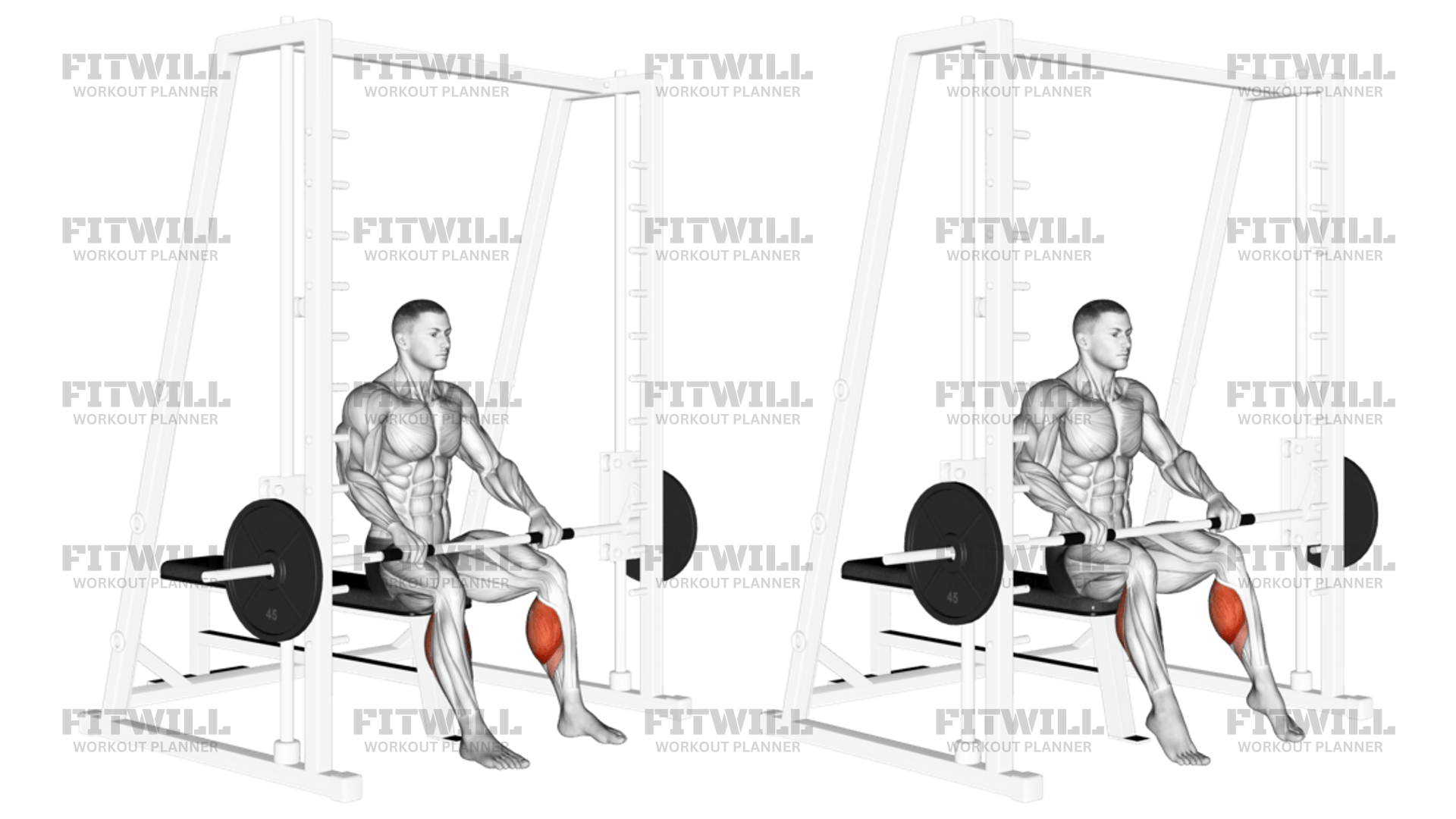 Smith Toe Raise: Exercise Guide, Techniques, Benefits, How to, Muscles ...