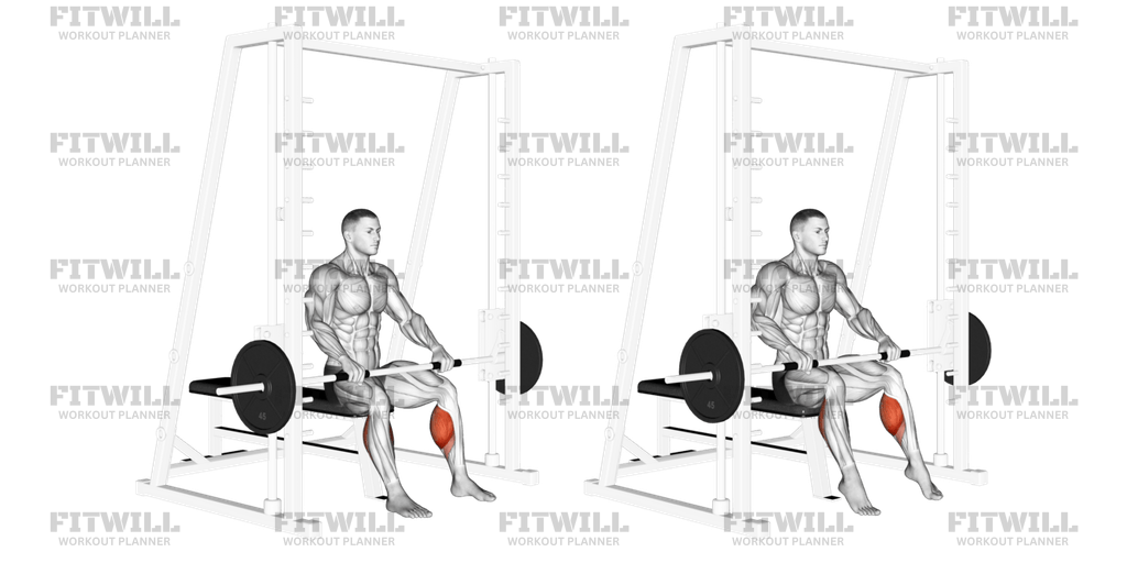 Smith Toe Raise: Exercise Guide, Techniques, Benefits, How to, Muscles ...