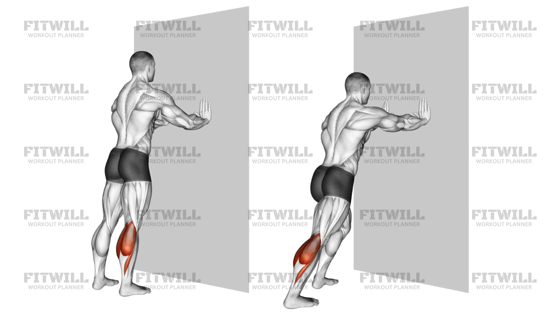 Standing Gastrocnemius: Exercise Guide, Techniques, Benefits, How to ...