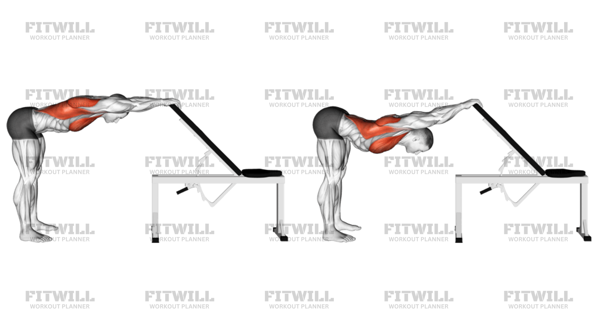 Back Pec Stretch: Exercise Guide, Video, Techniques, Benefits, How to ...