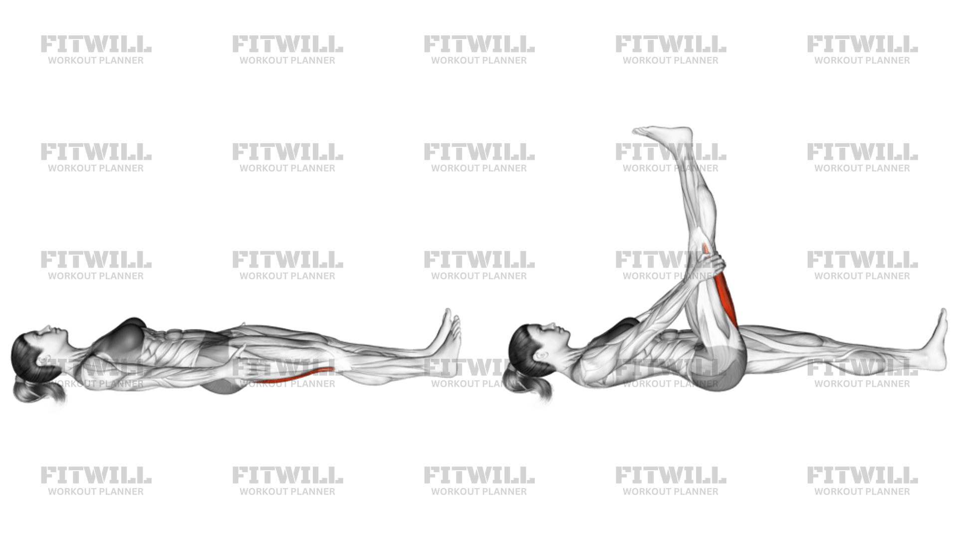 Hamstrings Lying Stretch: Exercise Guide, Techniques, Benefits, How to ...