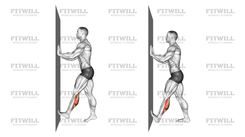 Estiramiento De Gemelos Con Manos Contra La Pared: Guía de Ejercicios ...