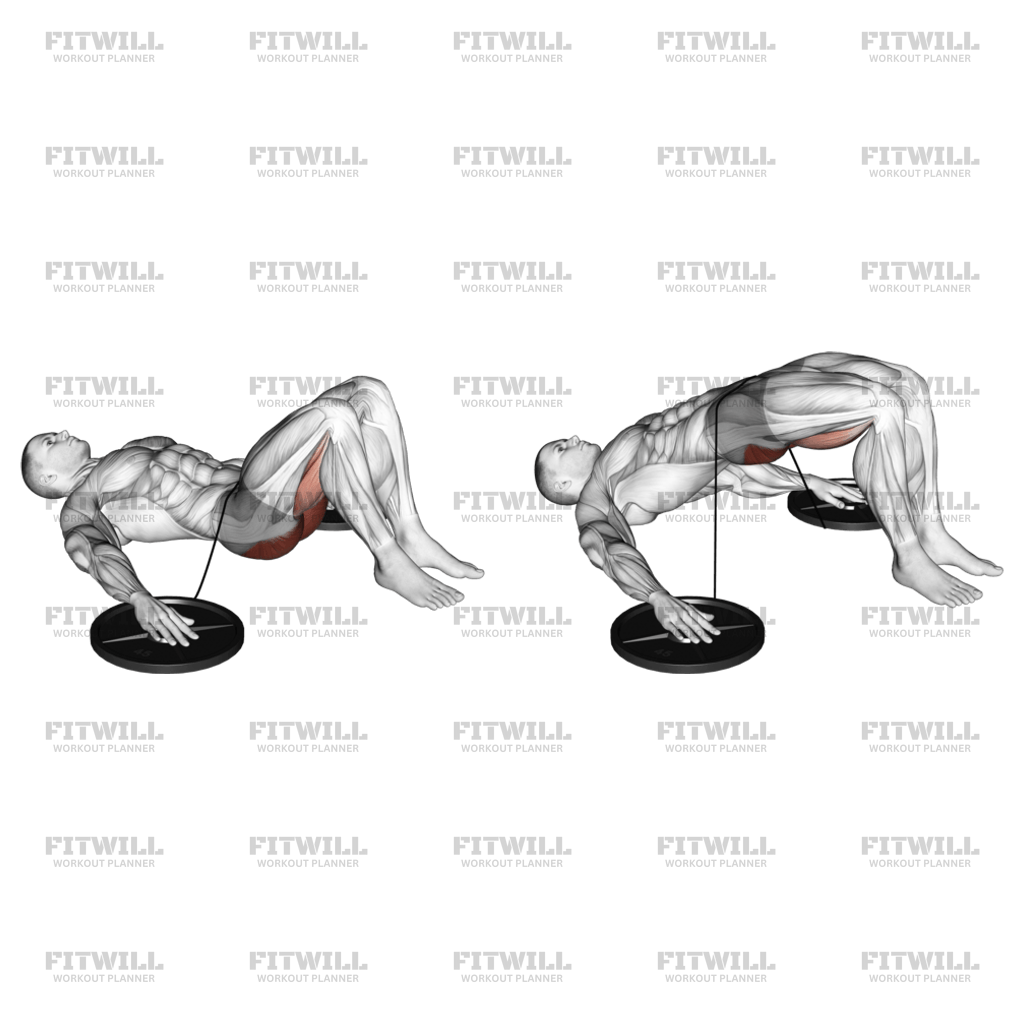 Band Hip Lift: Exercise Guide, Techniques, Benefits, How to, Muscles ...