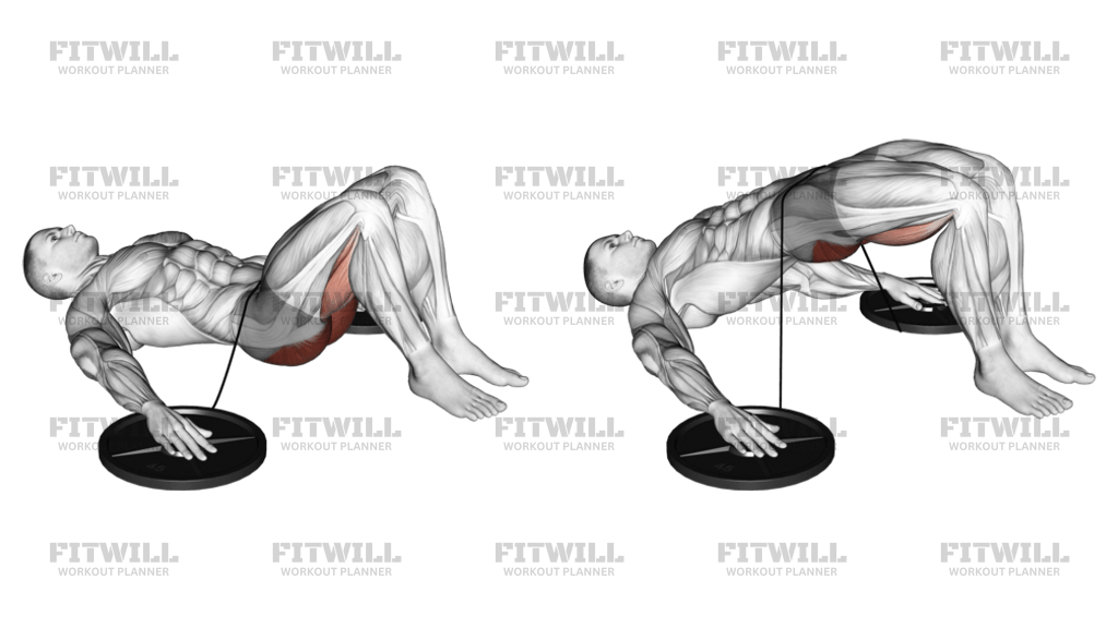 Band Hip Lift: Exercise Guide, Techniques, Benefits, How to, Muscles ...