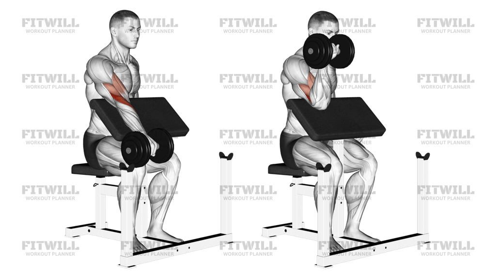 Dumbbell One Arm Reverse Preacher Curl: Exercise Guide, Video ...