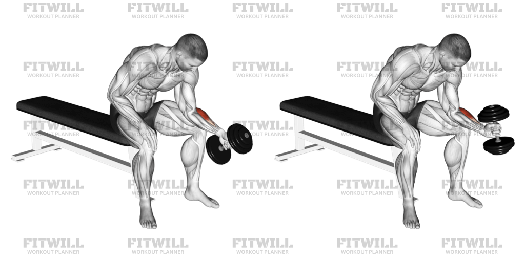 Dumbbell One-Arm Seated Neutral Wrist Curl: Exercise Guide, Video ...