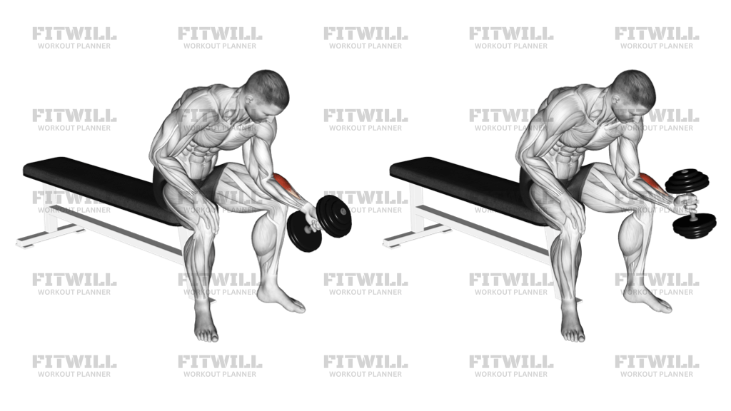 Dumbbell One Arm Seated Neutral Wrist Curl: Exercise Guide, Video, Techniques, Benefits, How to ...
