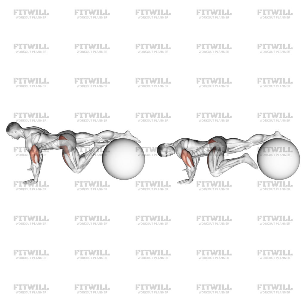 Exercise Ball One Leg Prone Lower Body Rotation: Exercise Guide ...