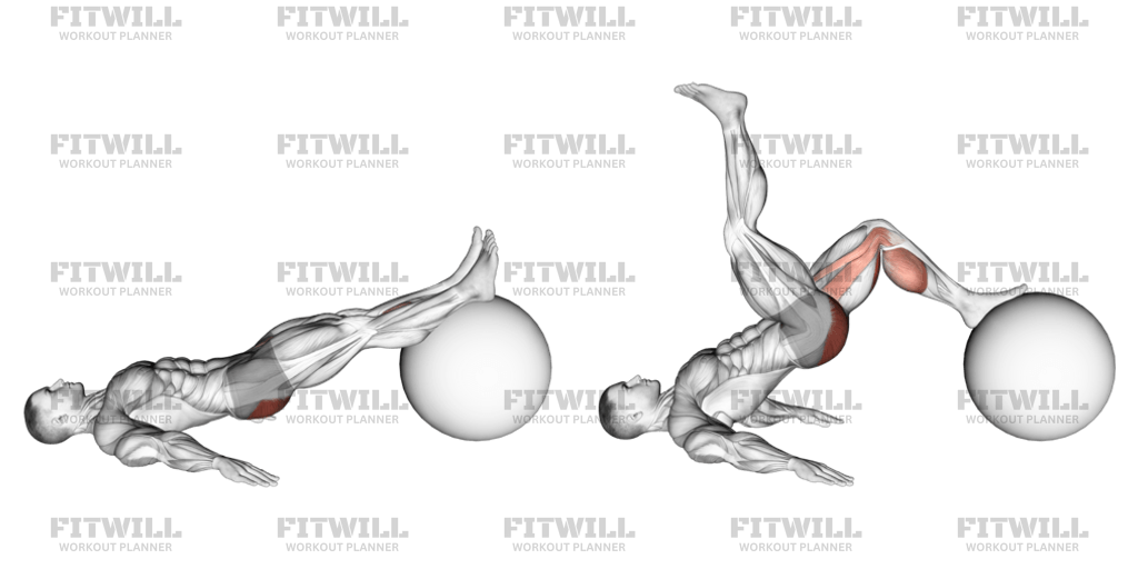 Exercise Ball One Legged Diagonal Kick Hamstring Curl: Exercise Guide ...