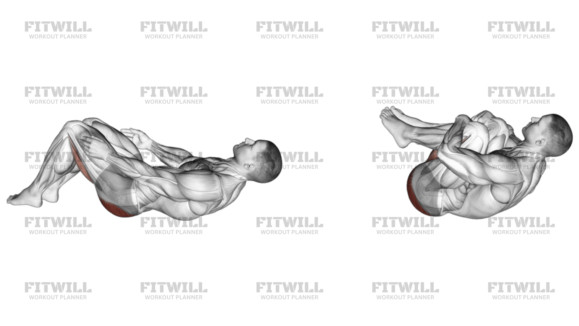 Hug Keens To Chest: Exercise Guide, Techniques, Benefits, How to ...