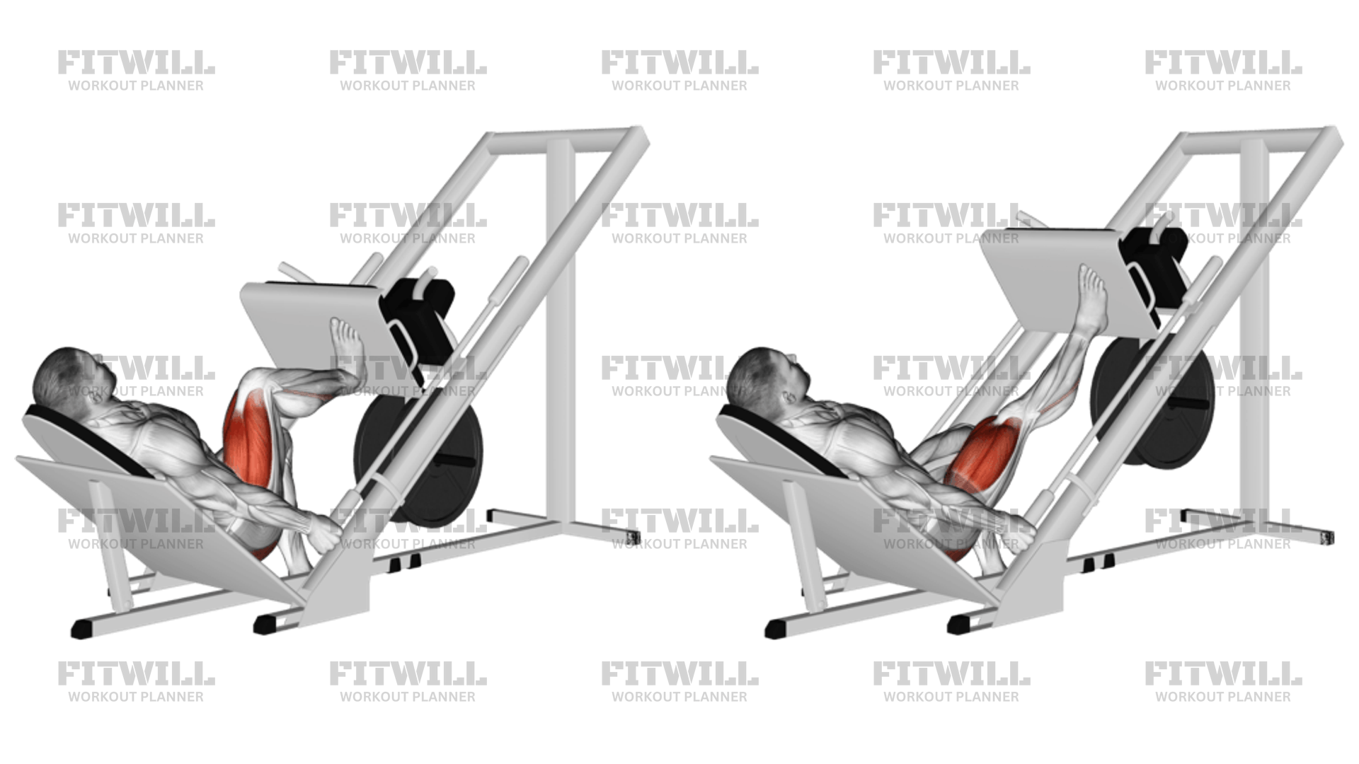 Sled 45 Degrees One Leg Press: Exercise Guide, Video, Techniques ...