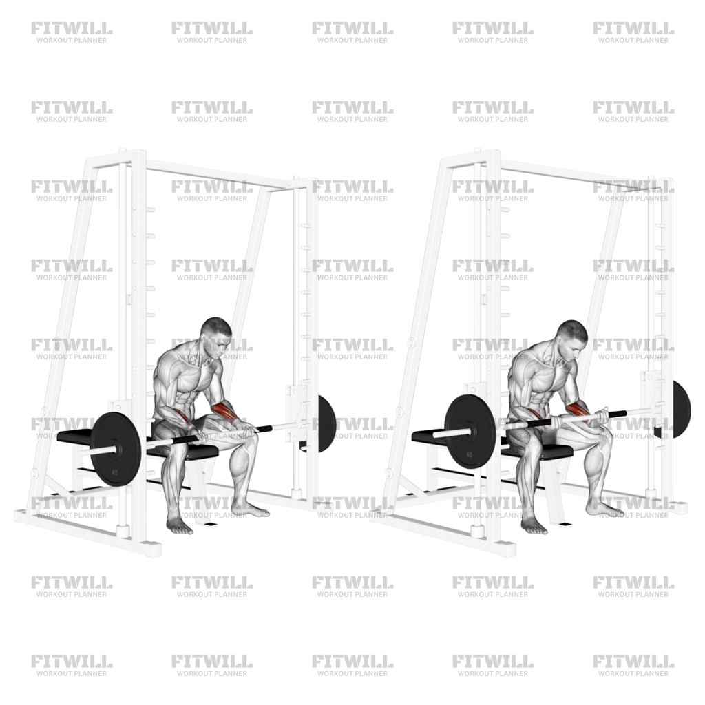 Smith Seated Wrist Curl: Exercise Guide, Techniques, Benefits, How to ...
