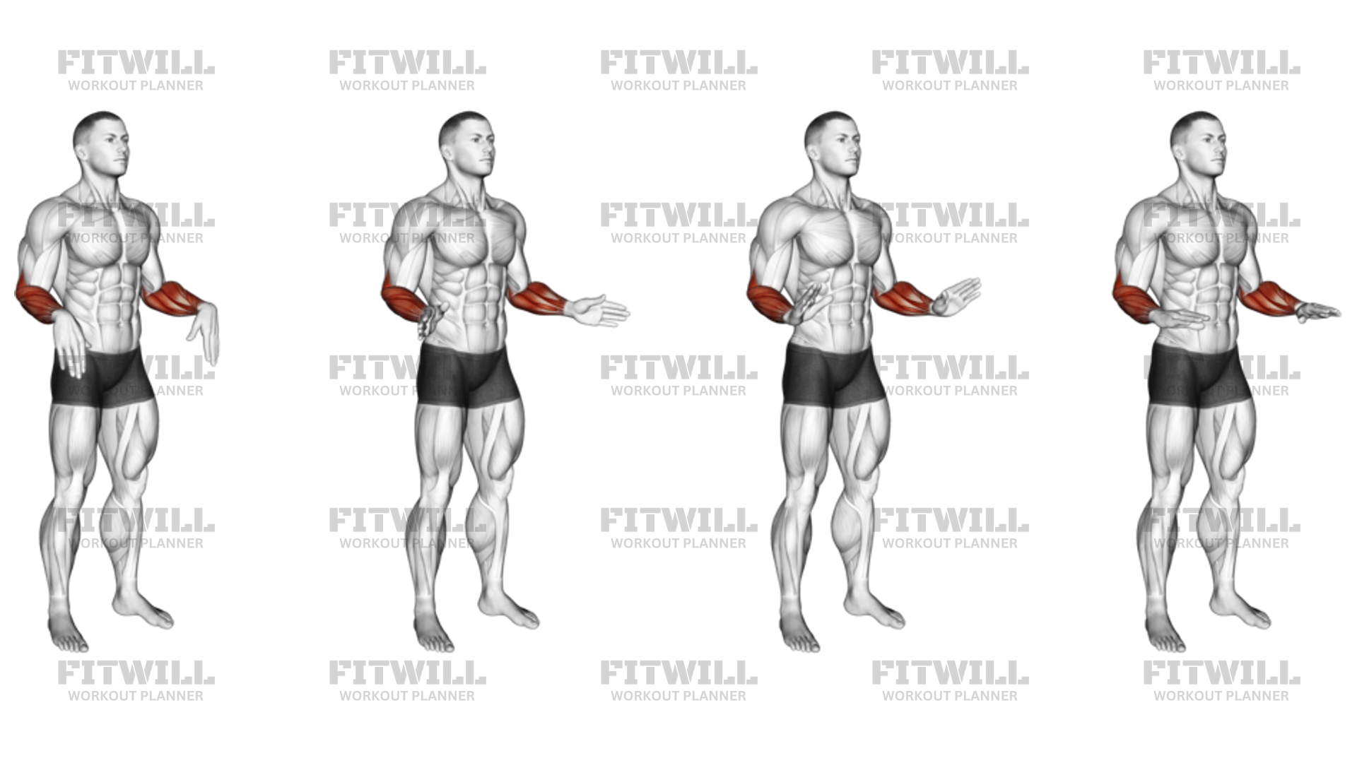 Wrist Circles: Exercise Guide, Video, Techniques, Benefits, How to ...