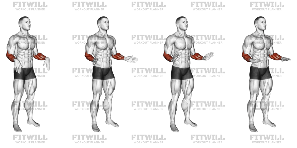 Wrist Circles: Exercise Guide, Video, Techniques, Benefits, How to ...