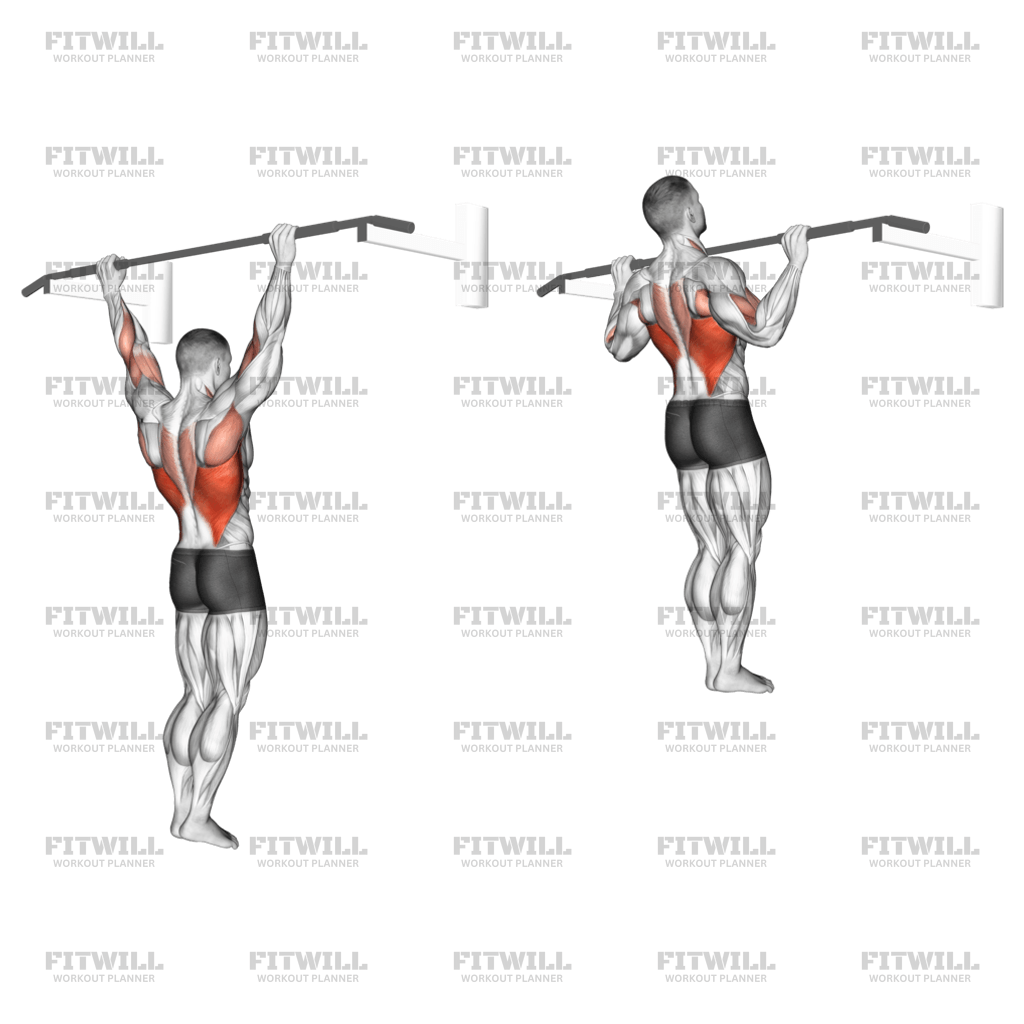 Wide Grip Pull-Up: Exercise Guide, Video, Techniques, Benefits, How to ...