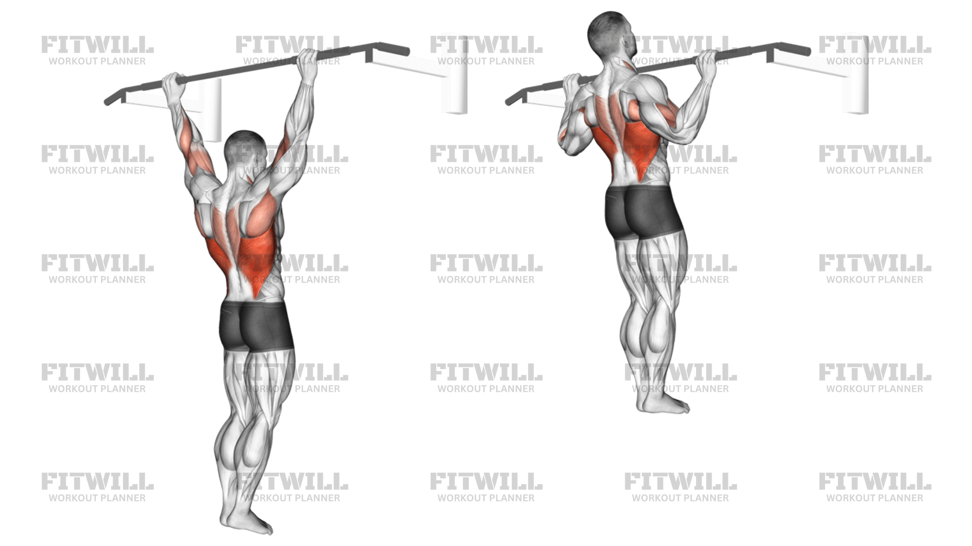Wide Grip Pull-Up: Exercise Guide, Video, Techniques, Benefits, How to ...