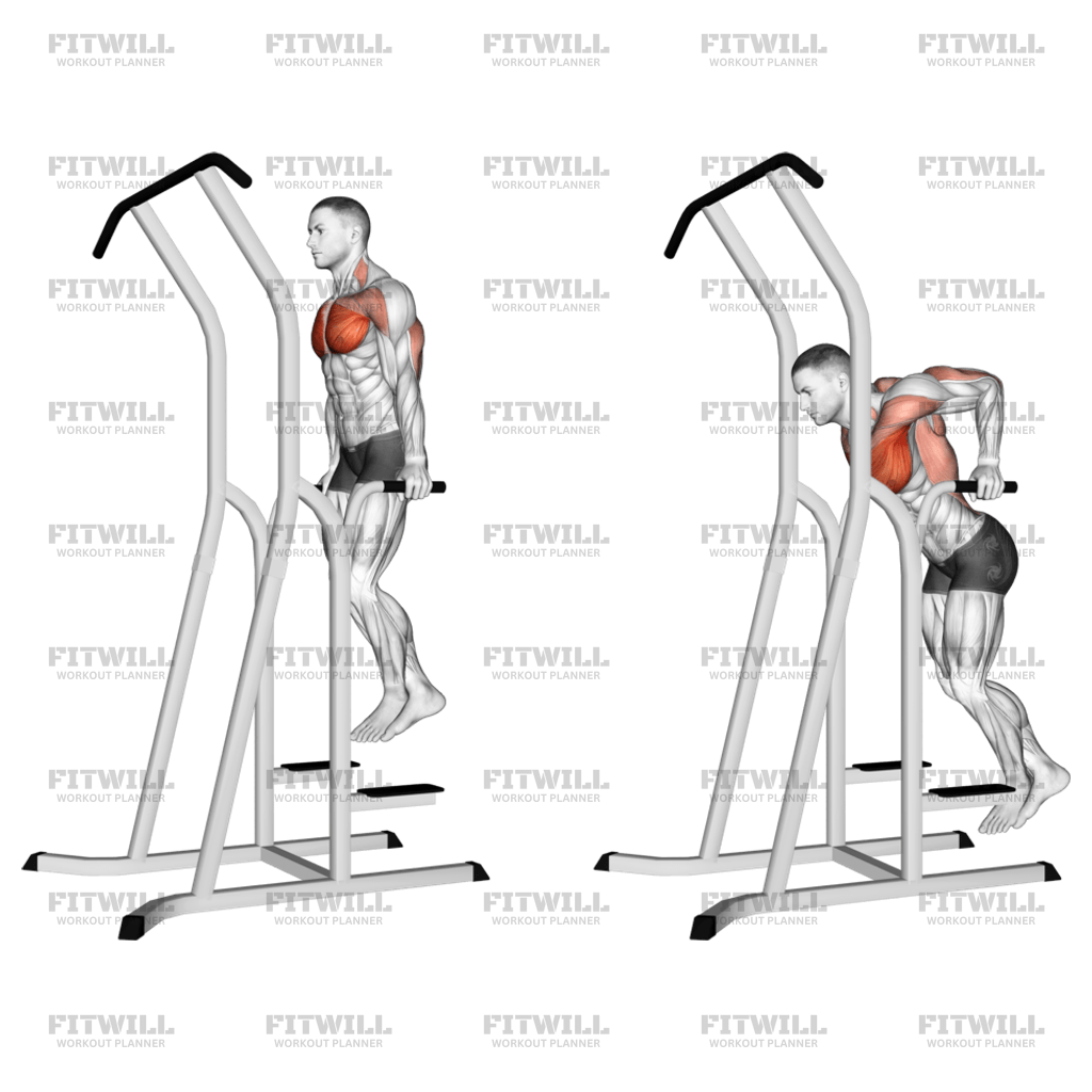 Chest Dip (on Dip-pull-up Cage): Exercise Guide, Video, Techniques ...