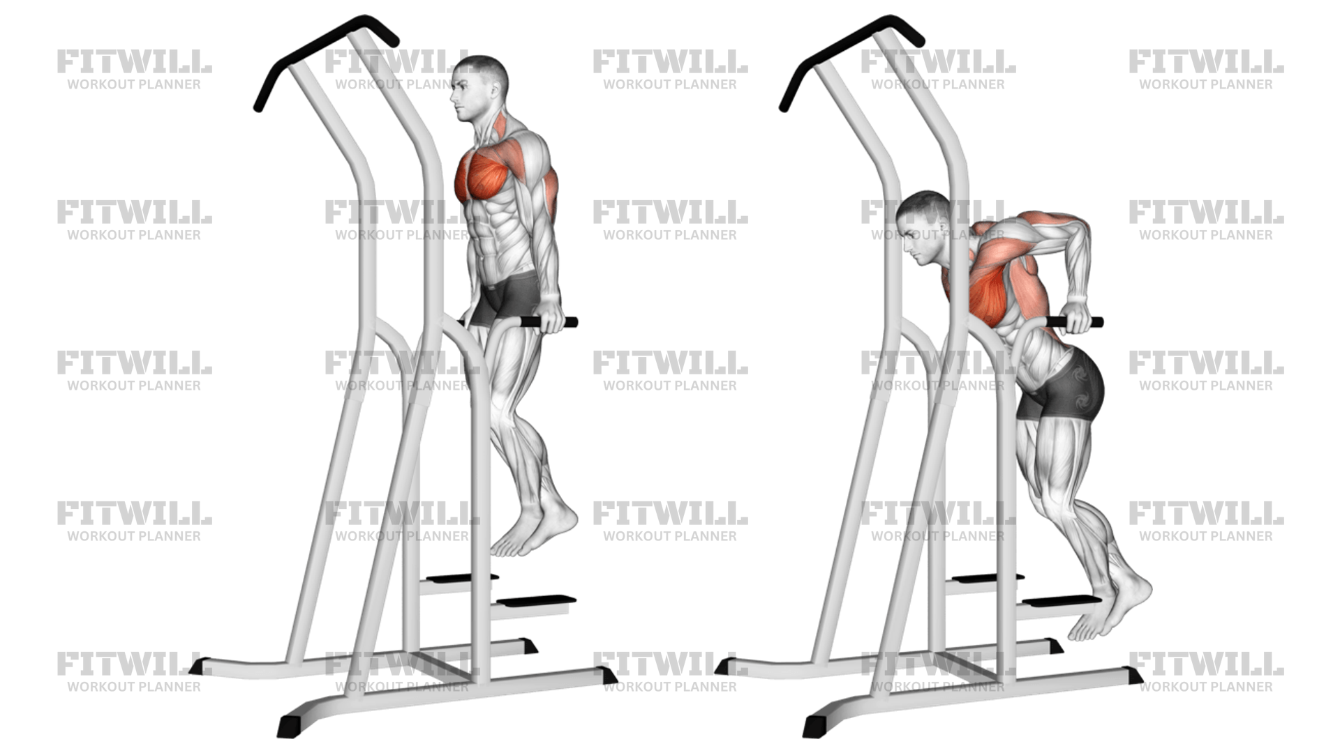 Chest Dip (on Dip-pull-up Cage): Exercise Guide, Video, Techniques ...