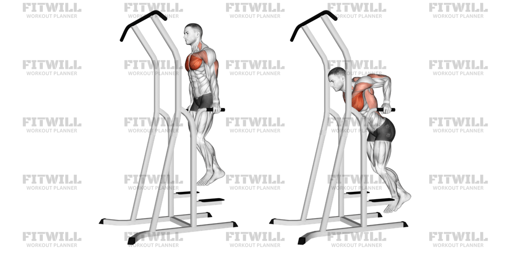 Chest Dip (on Dip-pull-up Cage): Exercise Guide, Video, Techniques ...