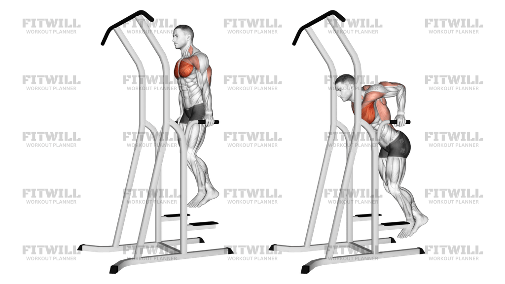 Chest Dip (on Dip-pull-up Cage): Exercise Guide, Video, Techniques, Benefits, How to, Muscles ...