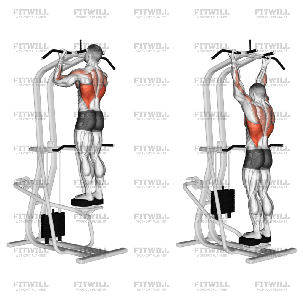 Assisted Standing Chin-Up: Exercise Guide, Video, Techniques, Benefits ...