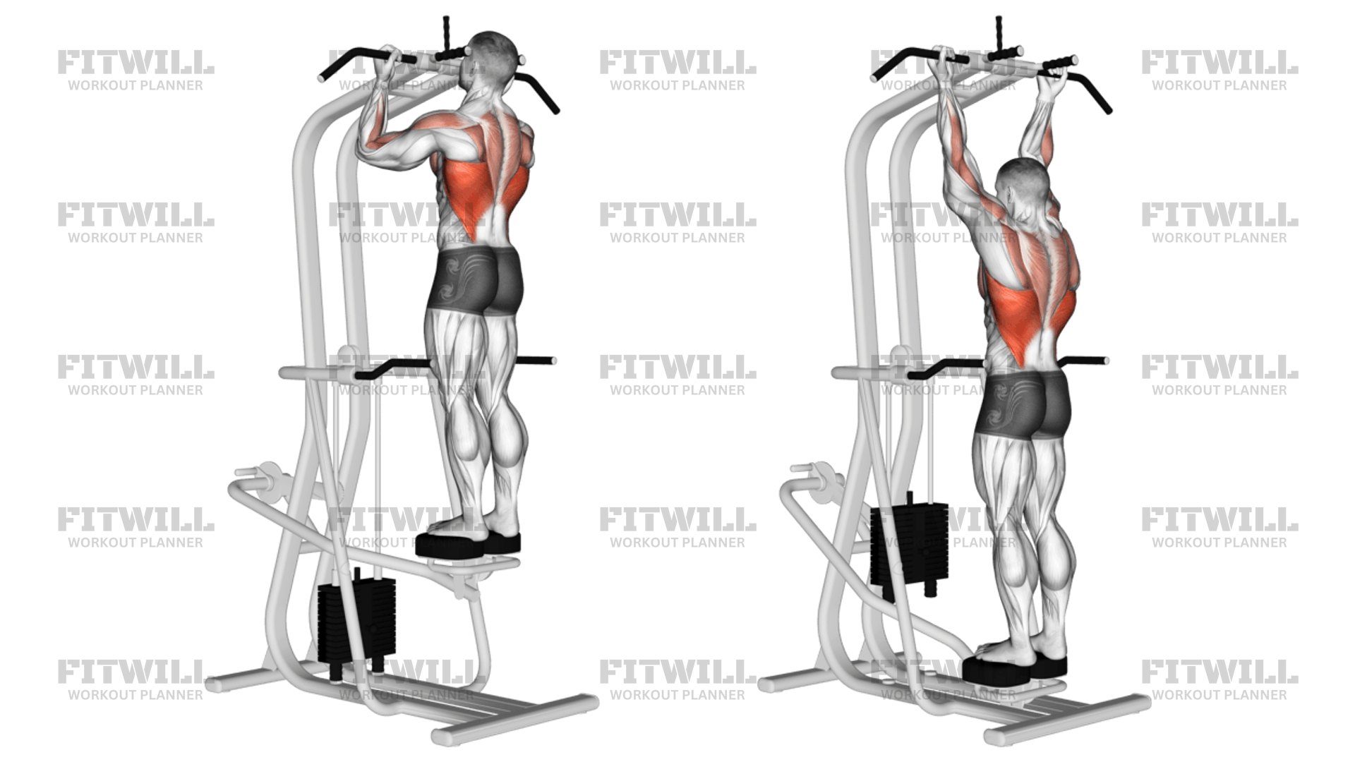 Assisted Standing Chin-Up: Exercise Guide, Video, Techniques, Benefits ...