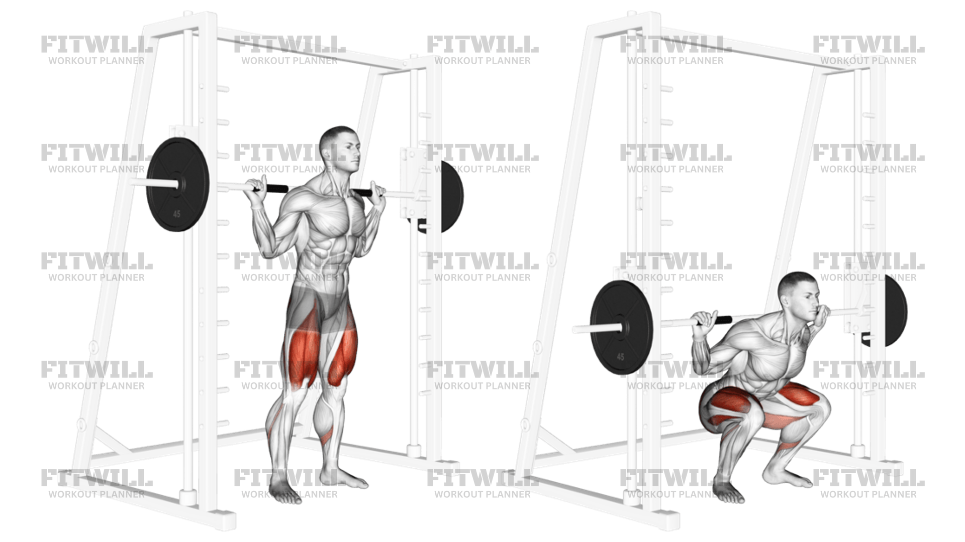 Smith Low Bar Squat: Exercise Guide, Video, Techniques, Benefits, How to, Muscles Worked, Tips ...
