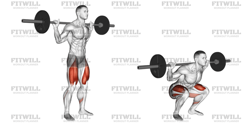 Barbell Low Bar Squat: Exercise Guide, Video, Techniques, Benefits, How ...