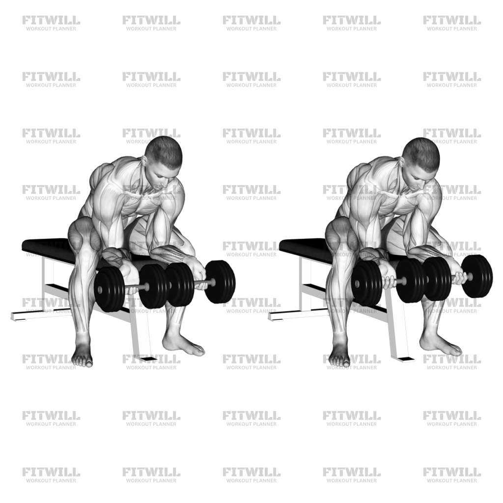Dumbbell Finger Curls: Exercise Guide, Techniques, Benefits, How to ...