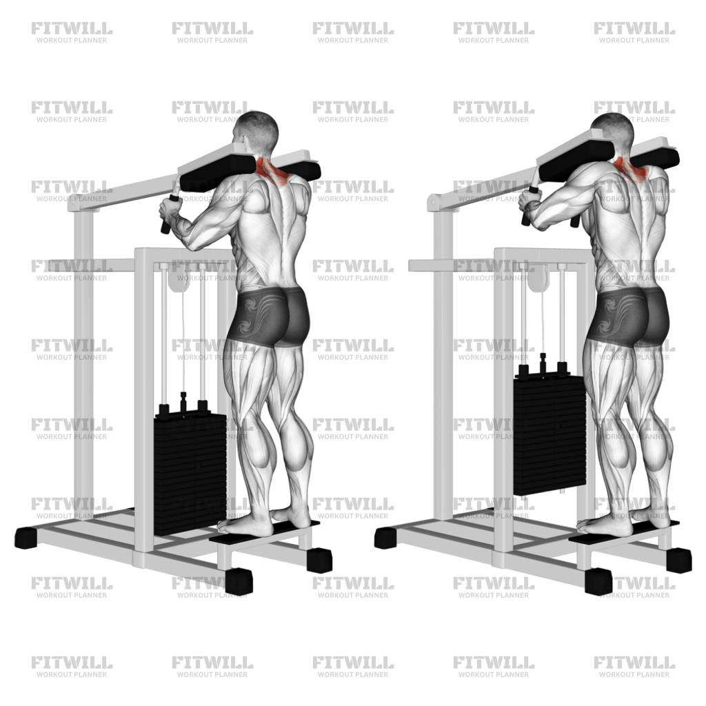 Lever Gripless Shrug (VERSION 2): Exercise Guide, Techniques, Benefits ...