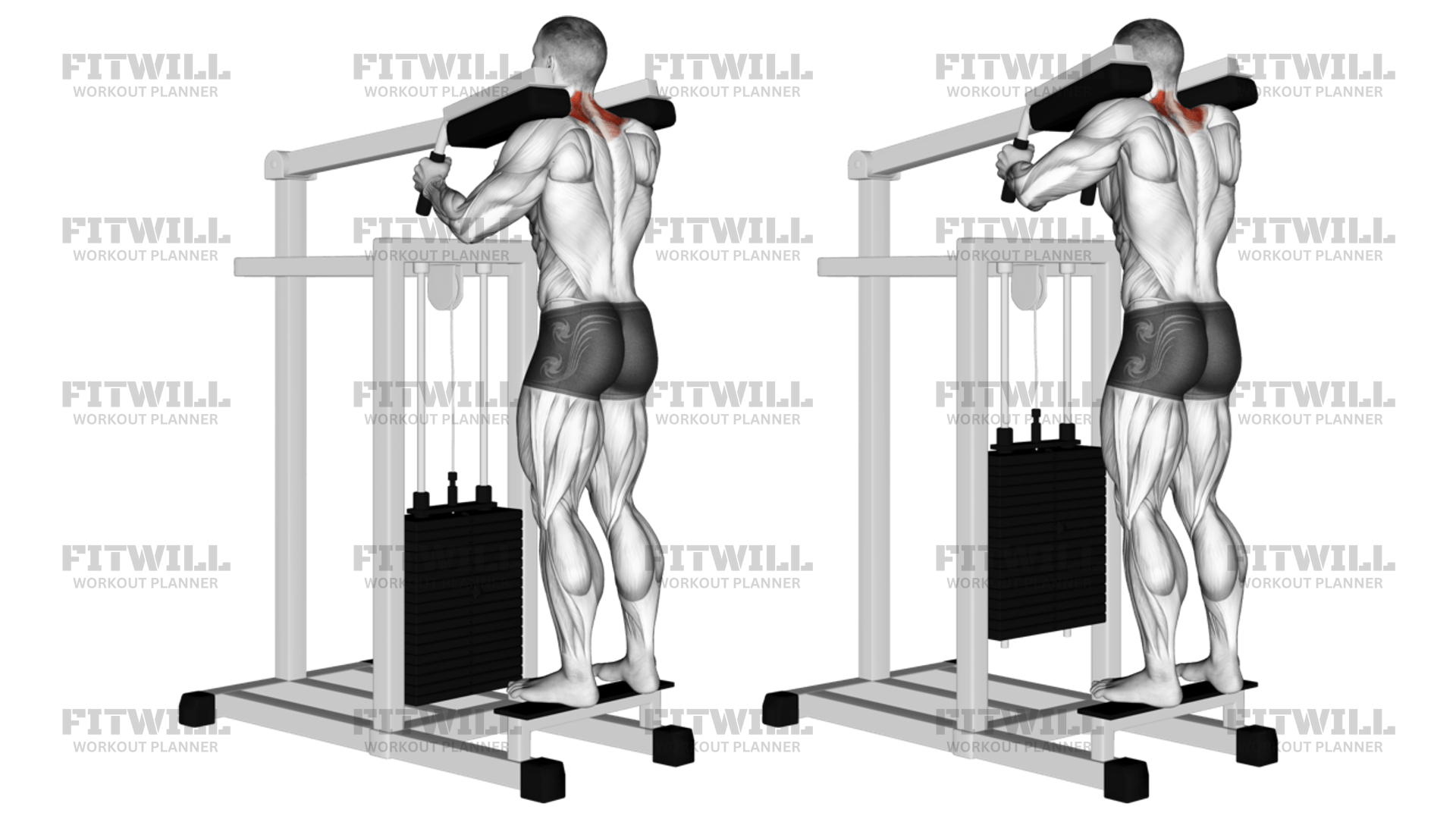 Lever Gripless Shrug (VERSION 2): Exercise Guide, Techniques, Benefits ...