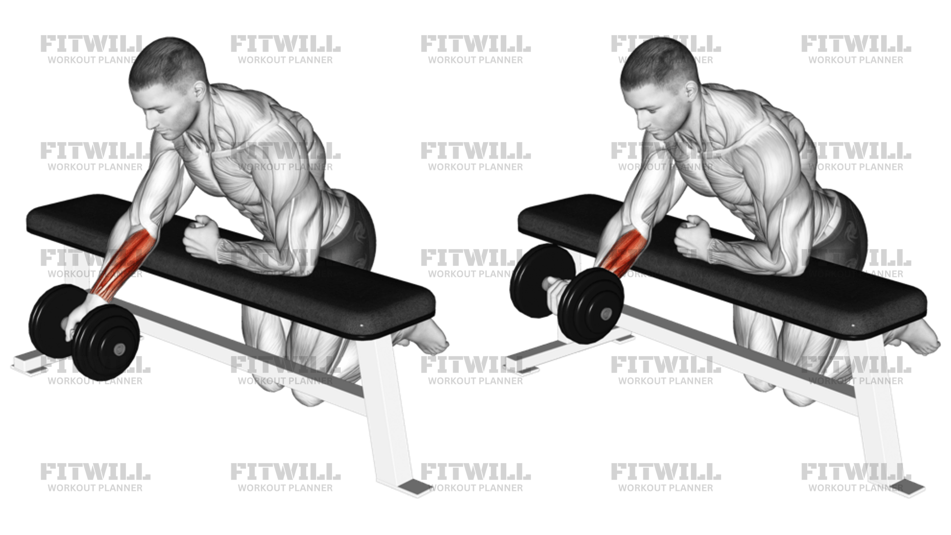 How To Do Dumbbell Over Bench One Arm Reverse Wrist Curl Techniques