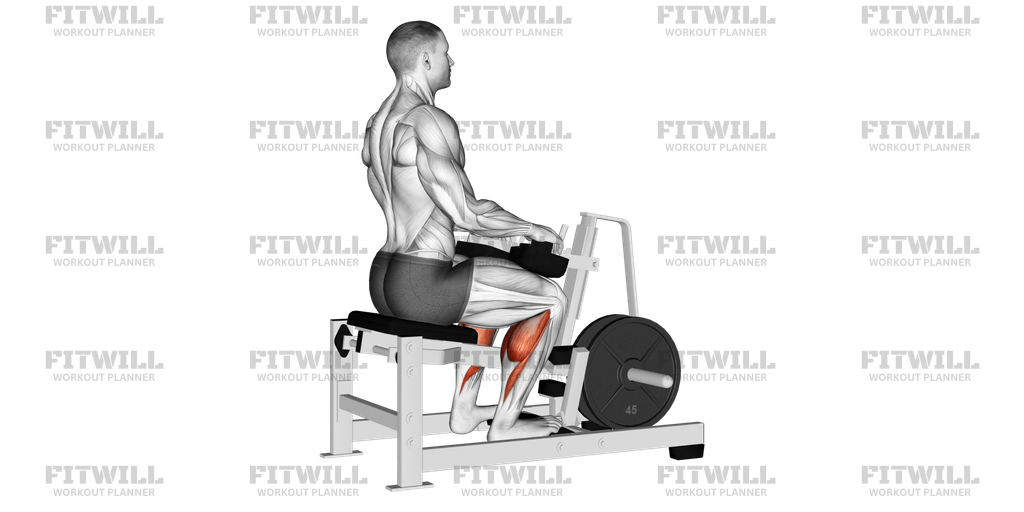 Lever Calf Stretch (plate Loaded) Isometric: Exercise Guide, Techniques ...