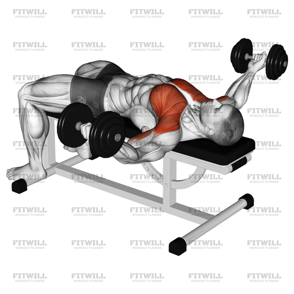 Dumbbell Flat Flye Hold Isometric: Exercise Guide, Techniques, Benefits ...
